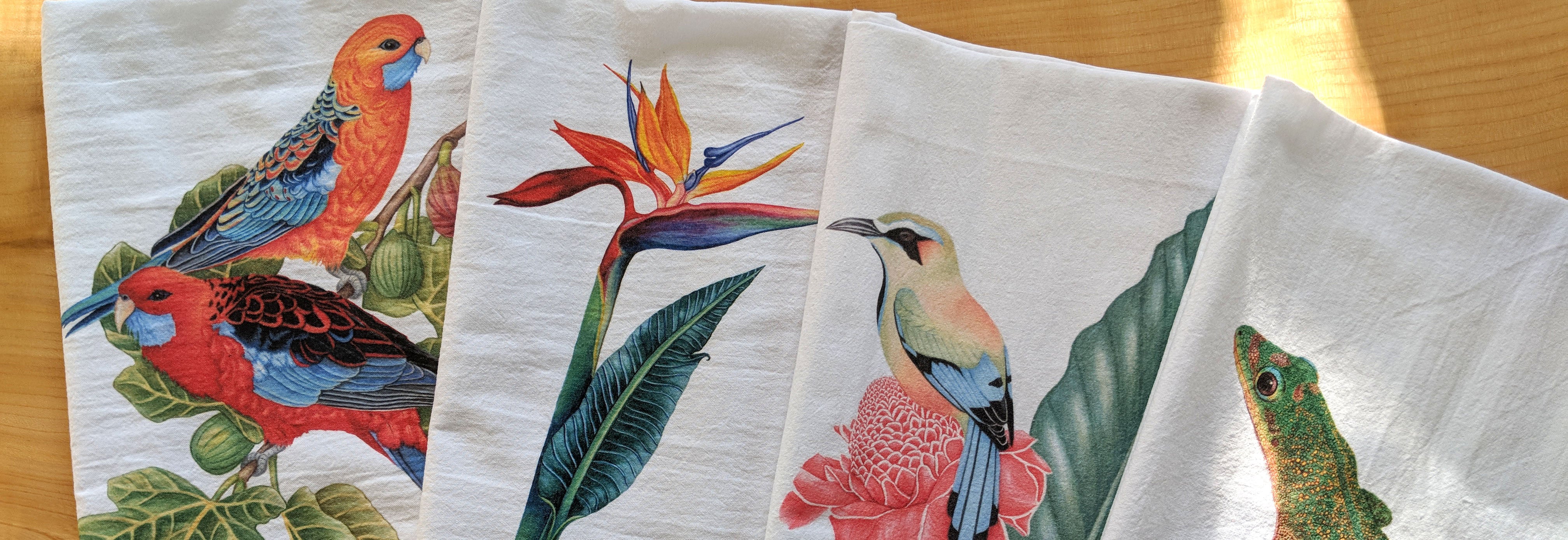 all collections – Rachel Diaz-Bastin Art